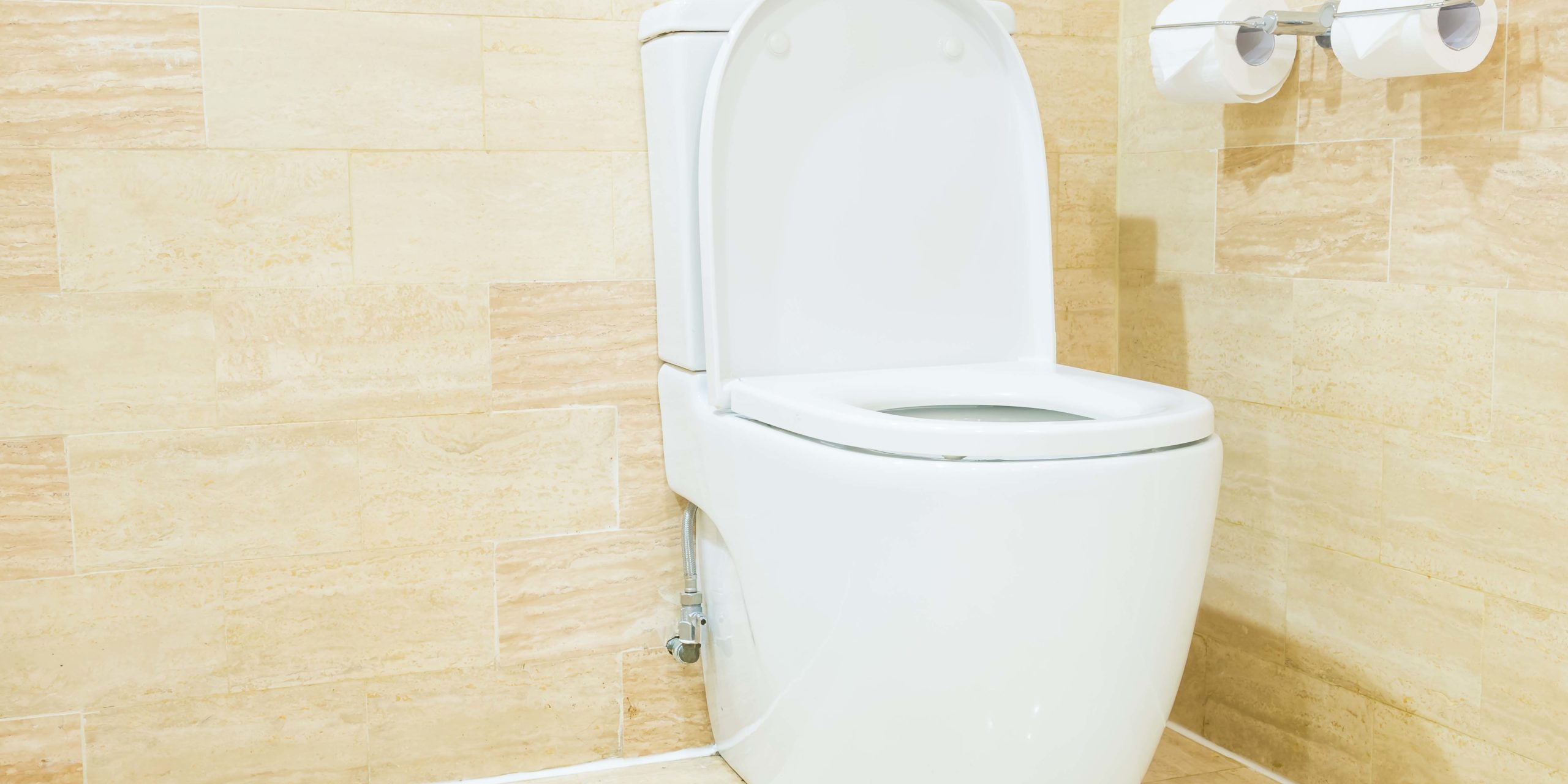 Diferentes tipos de instalación de inodoros para un baño perfecto